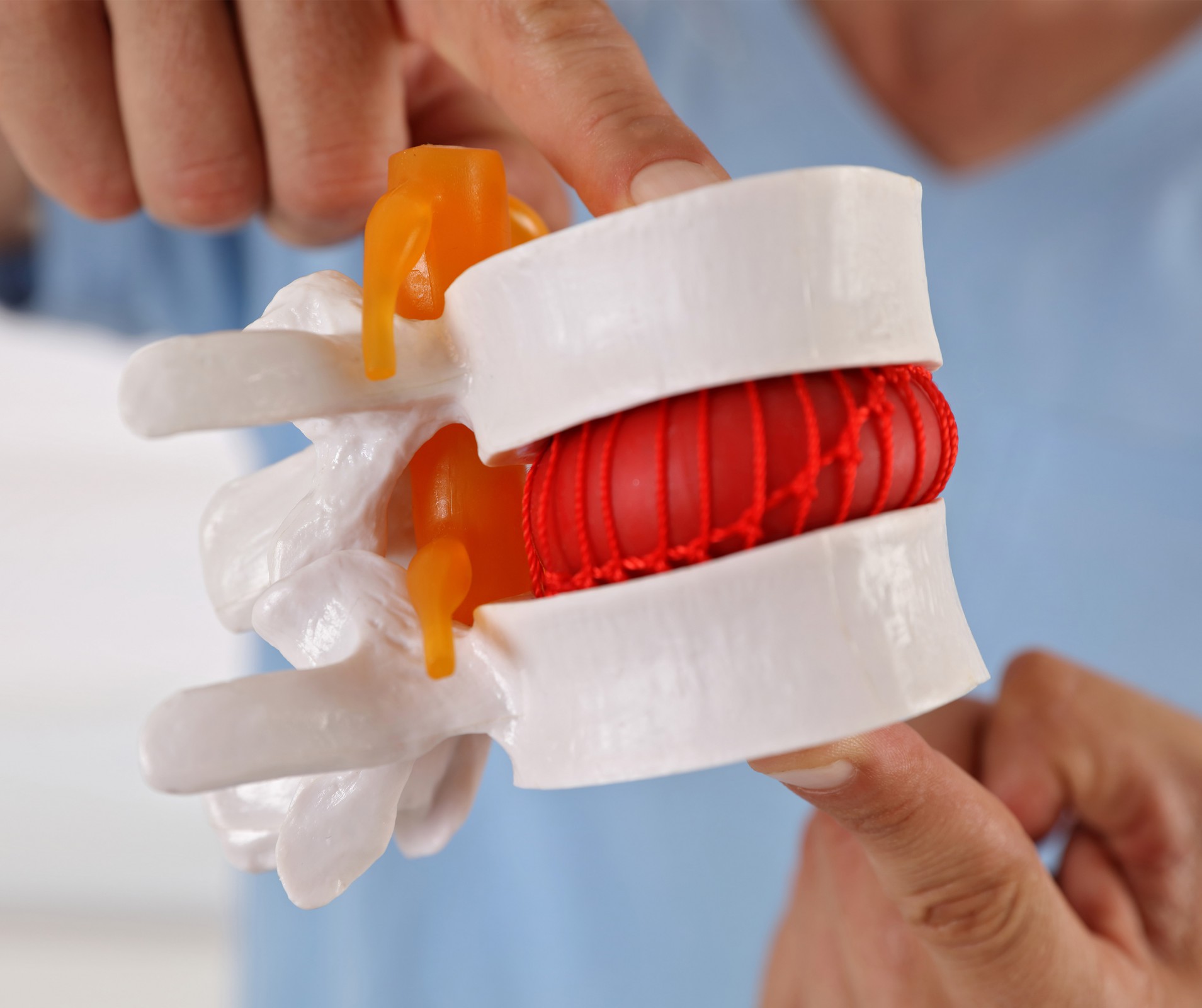 Treatment Objectives: Decompression 101 | The American Chiropractor ...