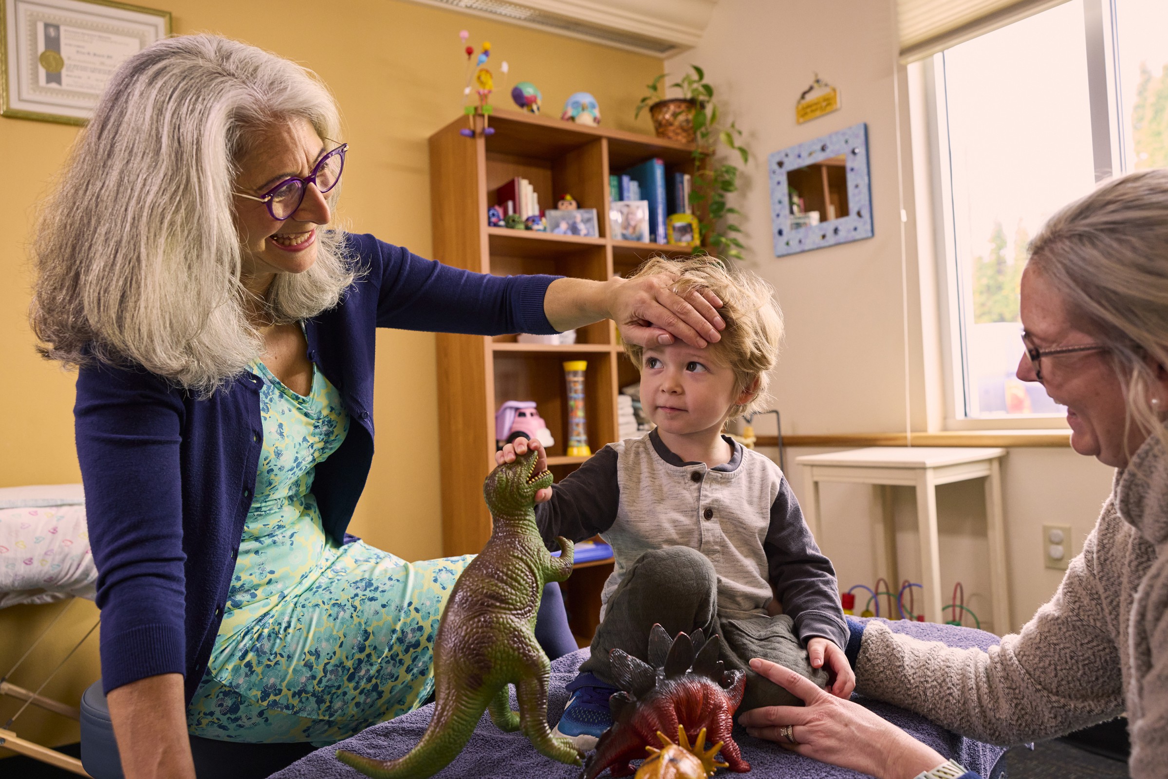 Dr. Elise Hewitt Develops First Master of Science in Integrative ...