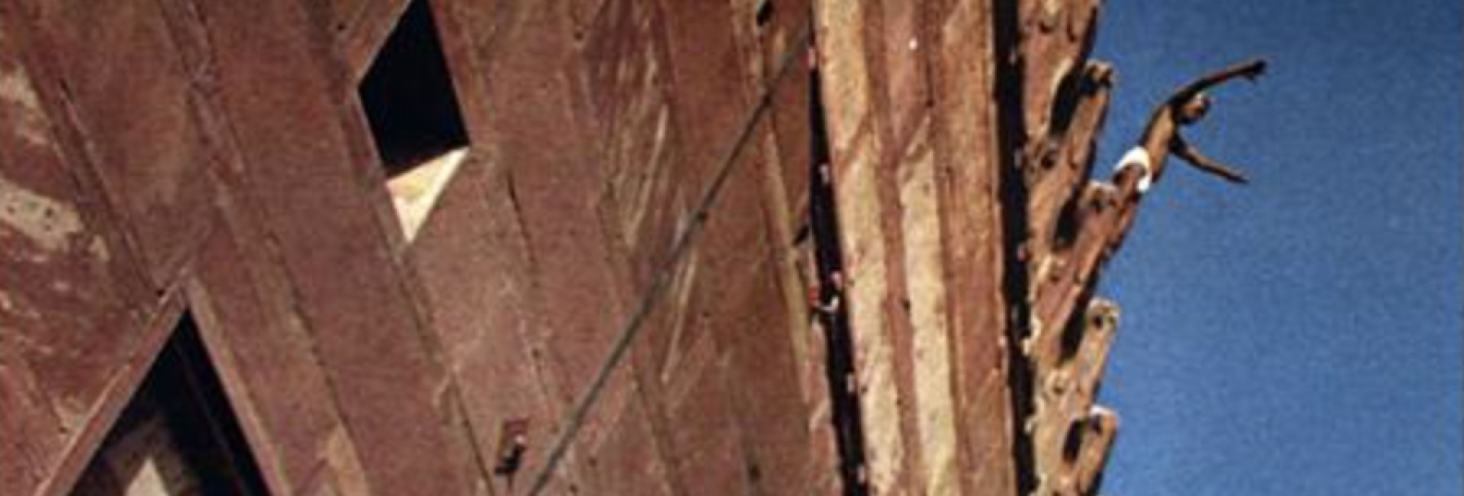 SHUDDER AT THE DEATH-DEFYING LEAP OF INDIAN DAREDEVILS! | Esquire ...