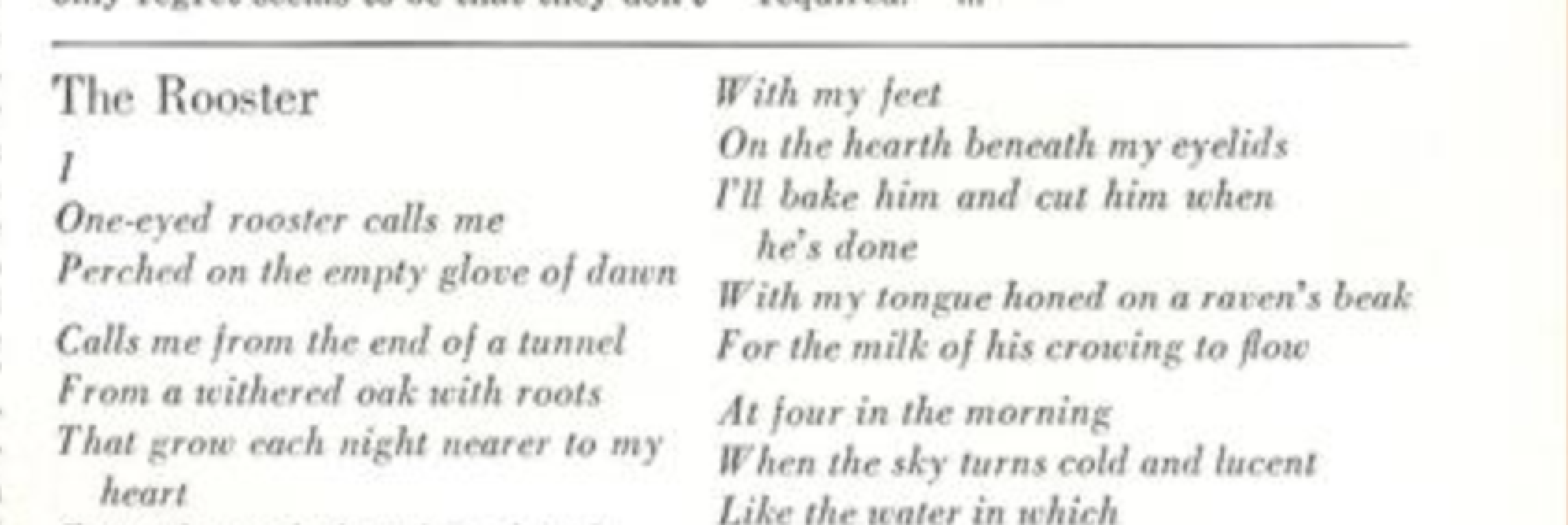 The Rooster | Esquire | MARCH, 1971