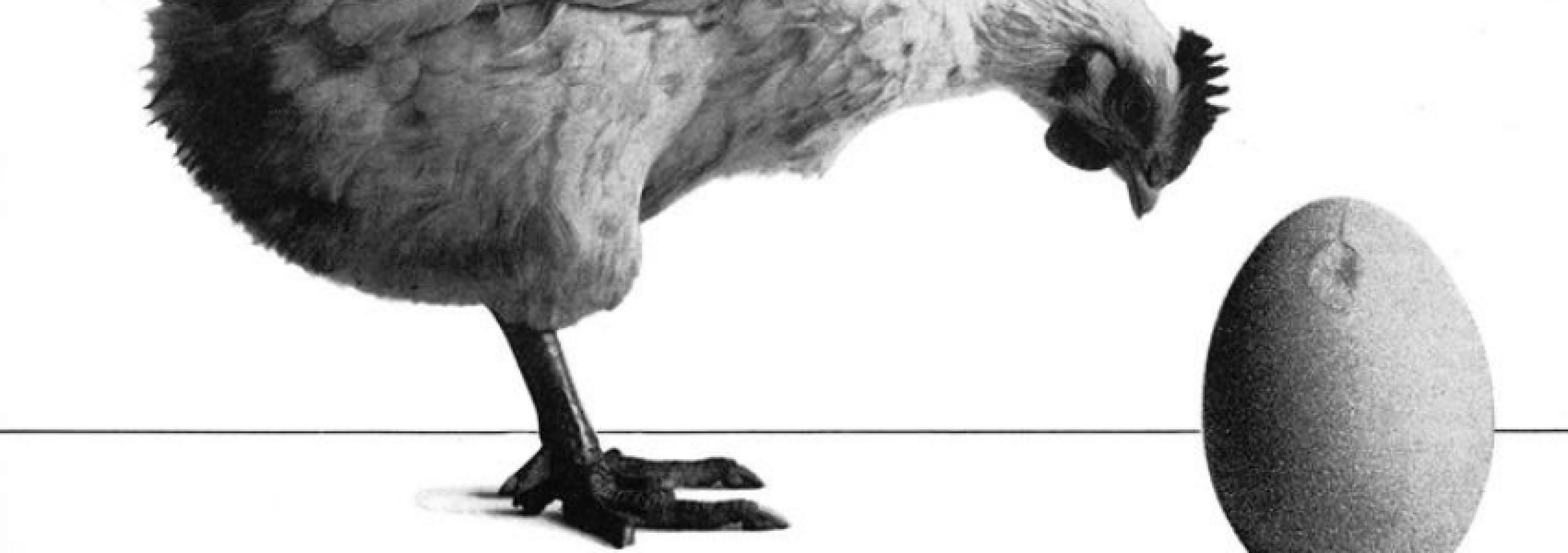 Frank Perdue Is Chicken! | Esquire | APRIL 1973